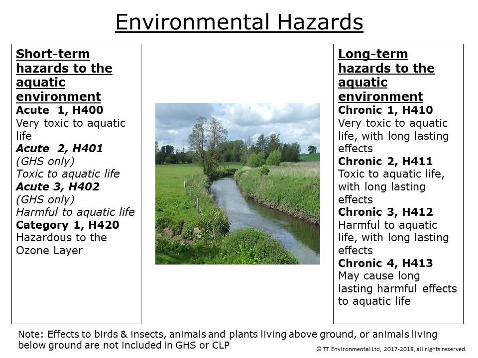 CLP Environmental Hazards | TT Environmental Consultancy Yorkshire