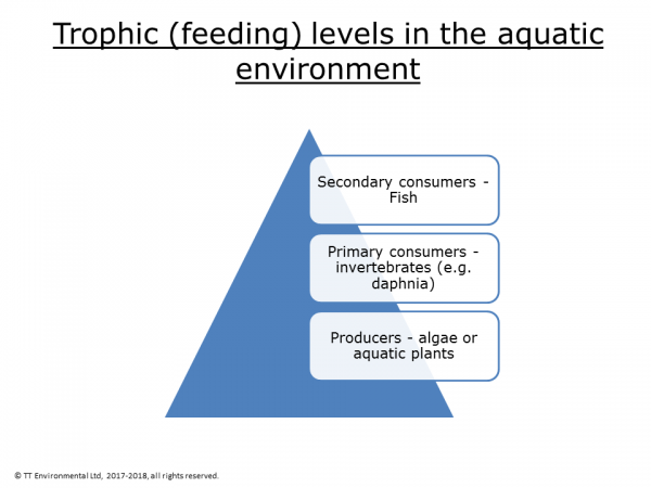 CLP Environmental Hazards | TT Environmental Consultancy Yorkshire